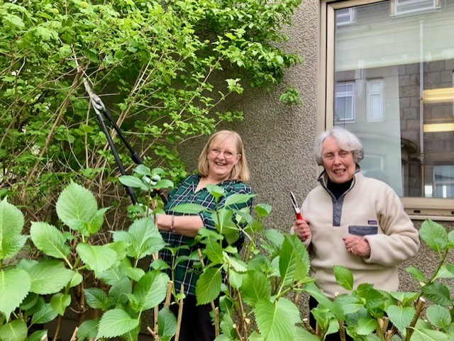 Renewing the SANDS Garden | SI Aberdeen Renewing the SANDS Garden ...