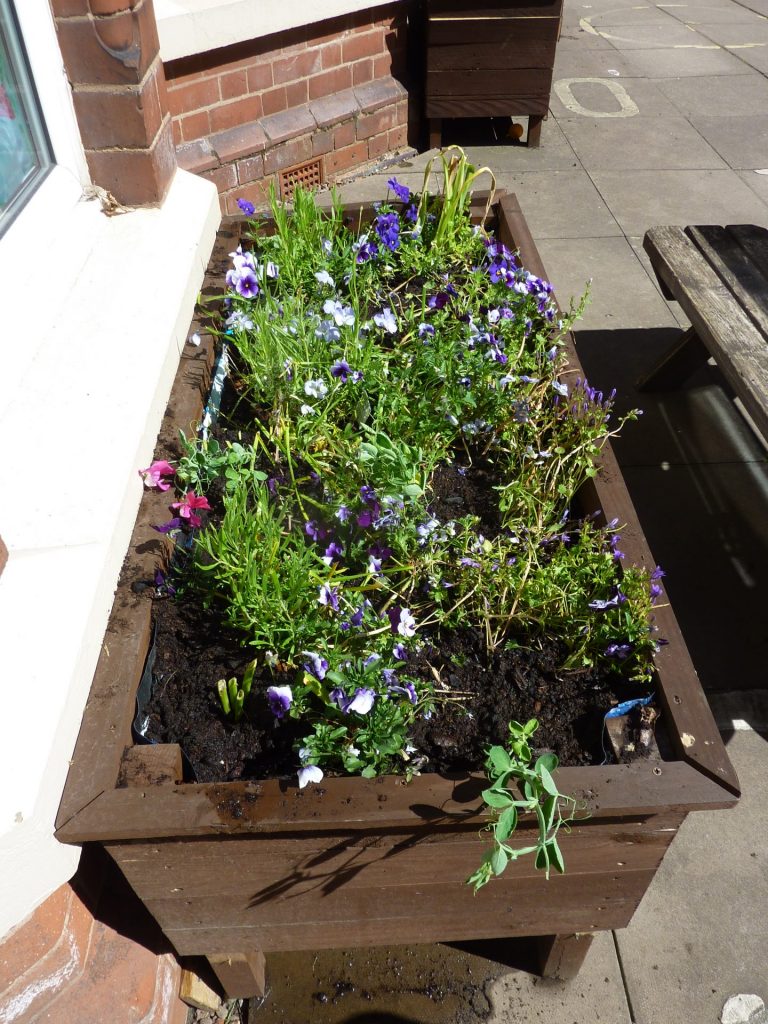 Planters for Pathway Project - support for victims of Domestic Abuse ...