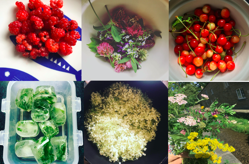 Summer Foraging | News | Blog | Events | SI Manchester