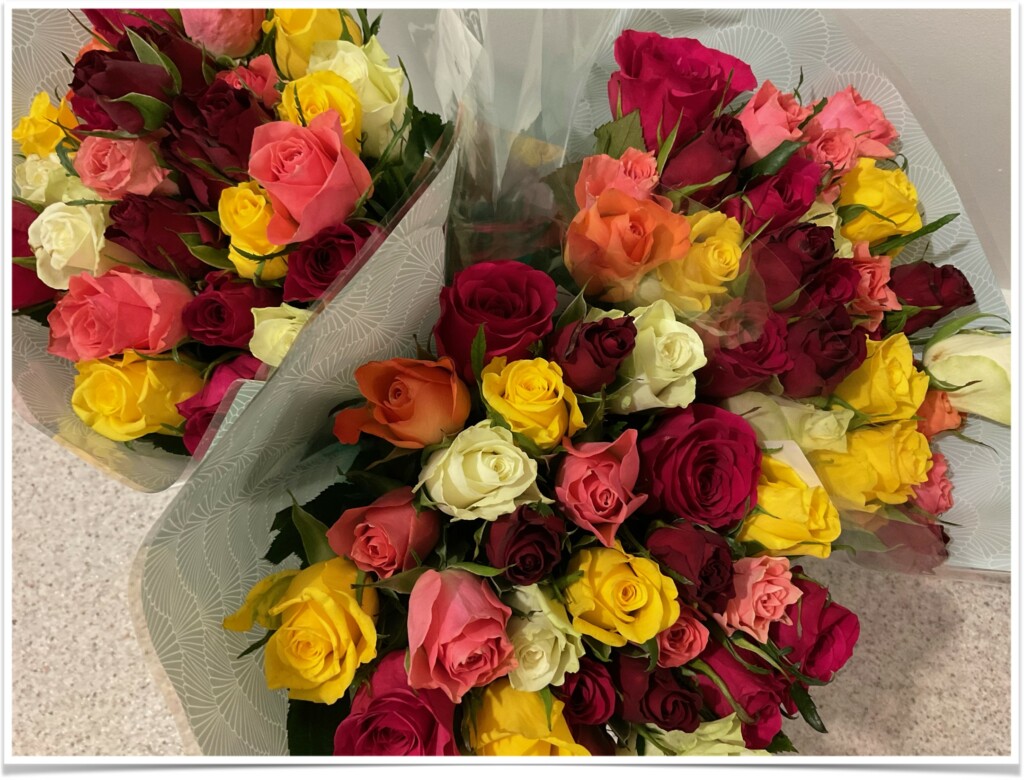 Welcome to Soroptimist International Northern England Region | SI ...