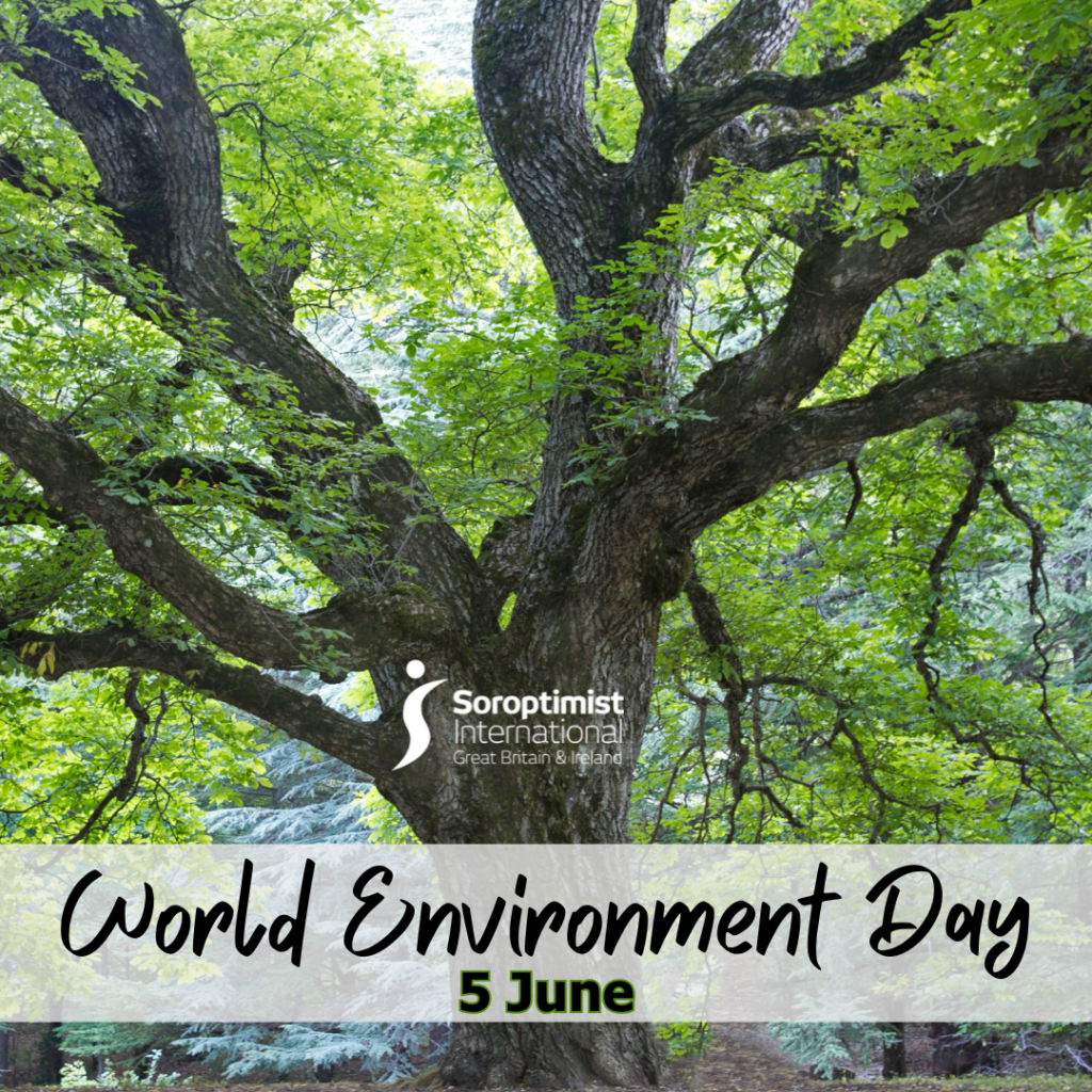 World Environment Day 5th June 2025 | News | Blog | Events | SI Spen Valley